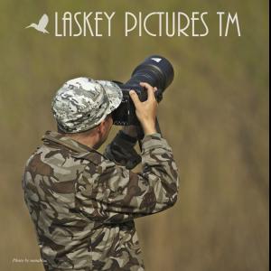 Laskeypictures