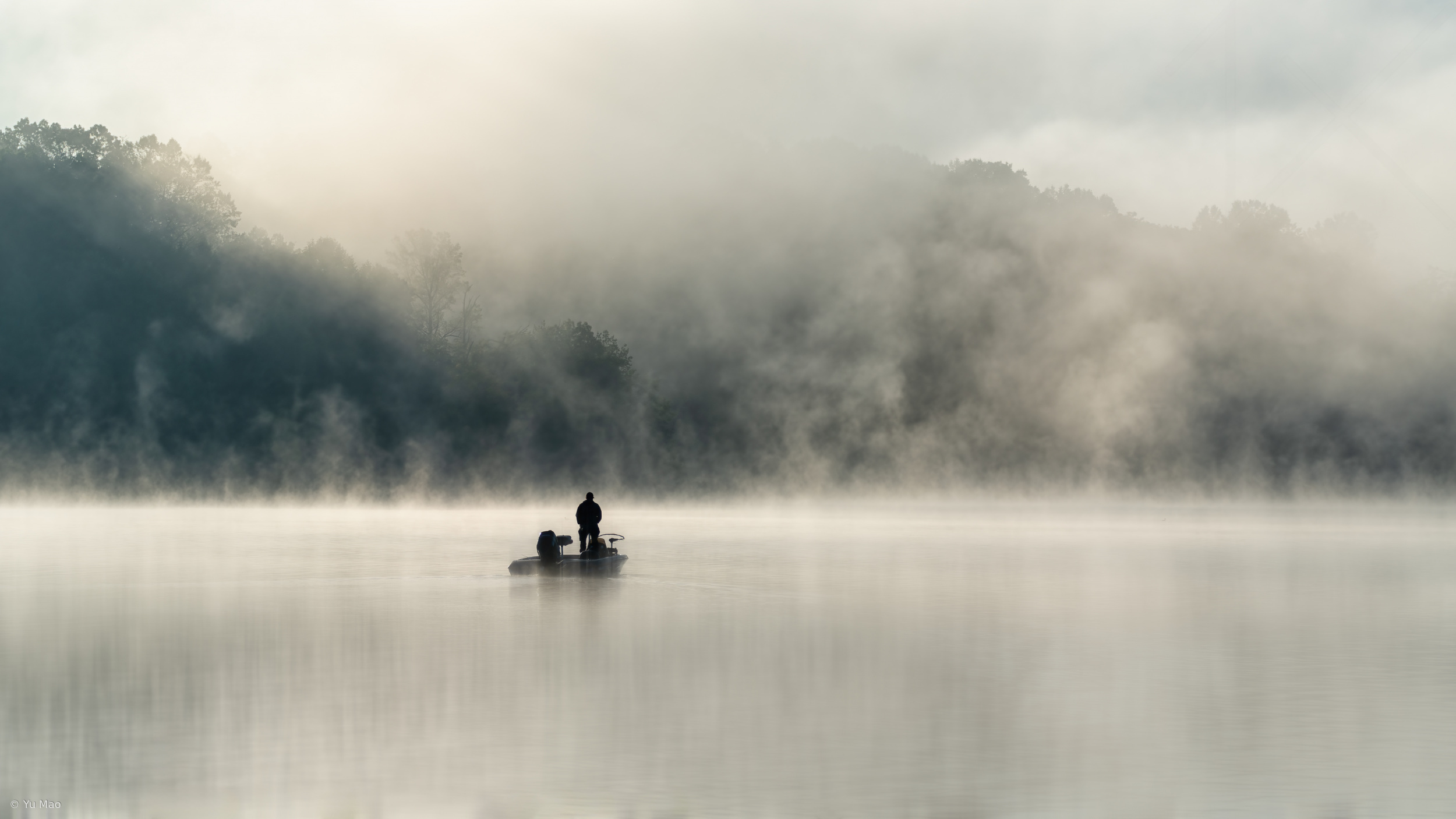 Immersed in the Mist by Yu Mao