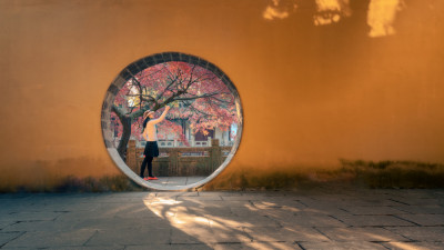 The Fall by Calvin Feng