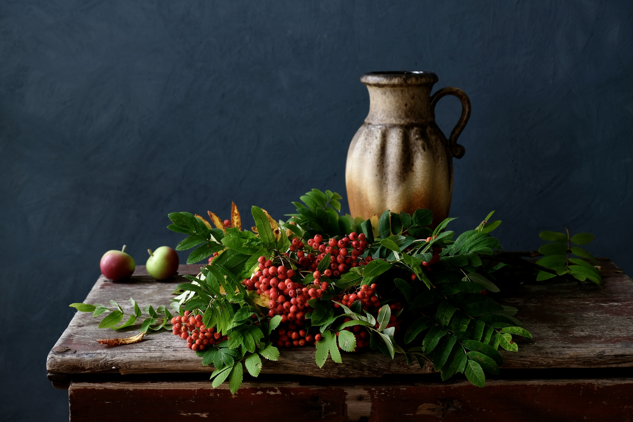 Rowan and two apples by Svetlana Povarova Ree