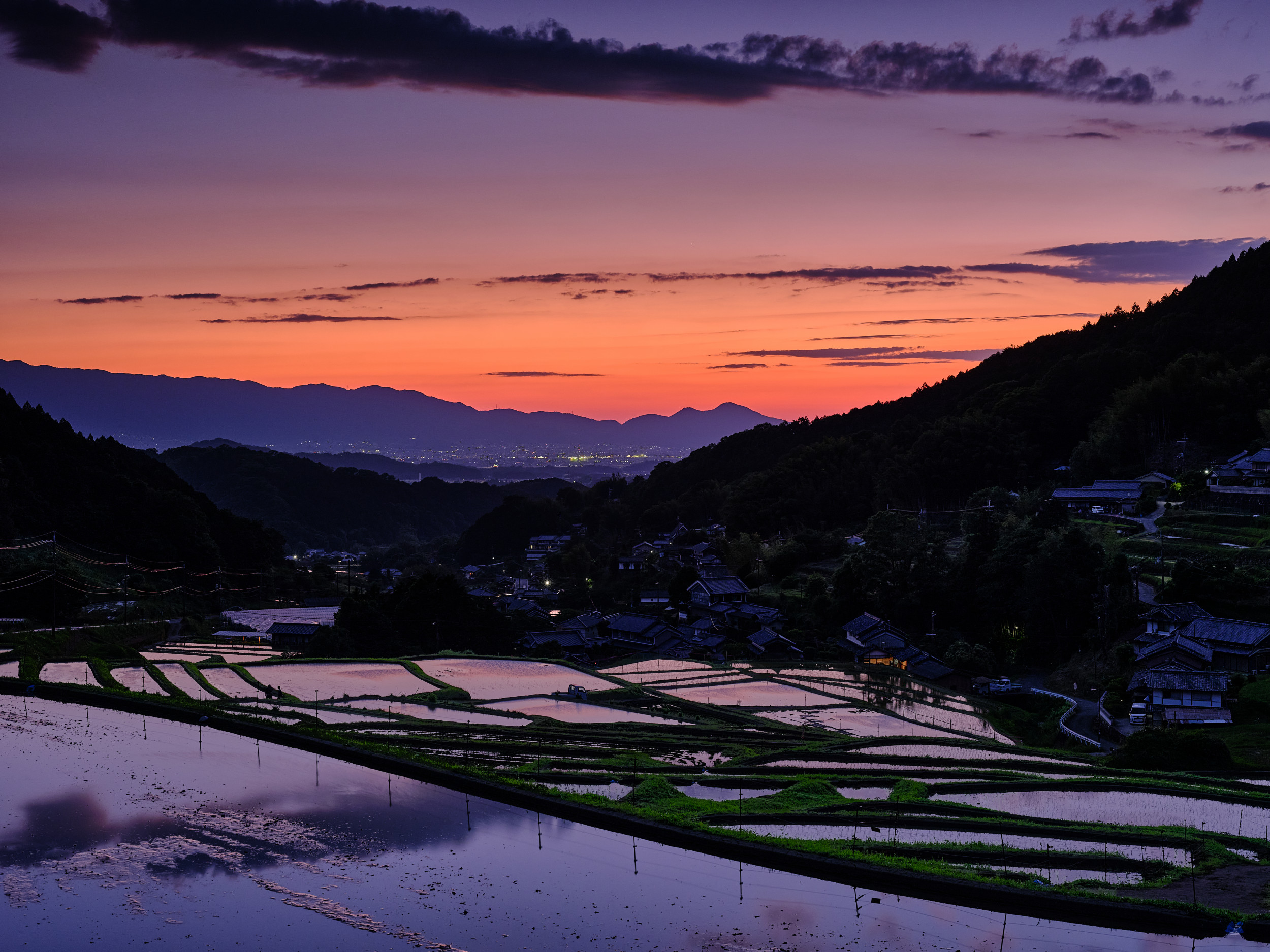Hosokawa rice terraces by Yoshitaka Sakamoto