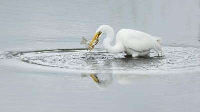 Leave me alone! by Moses Wang