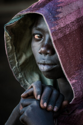 A furtive look by Trevor Cole