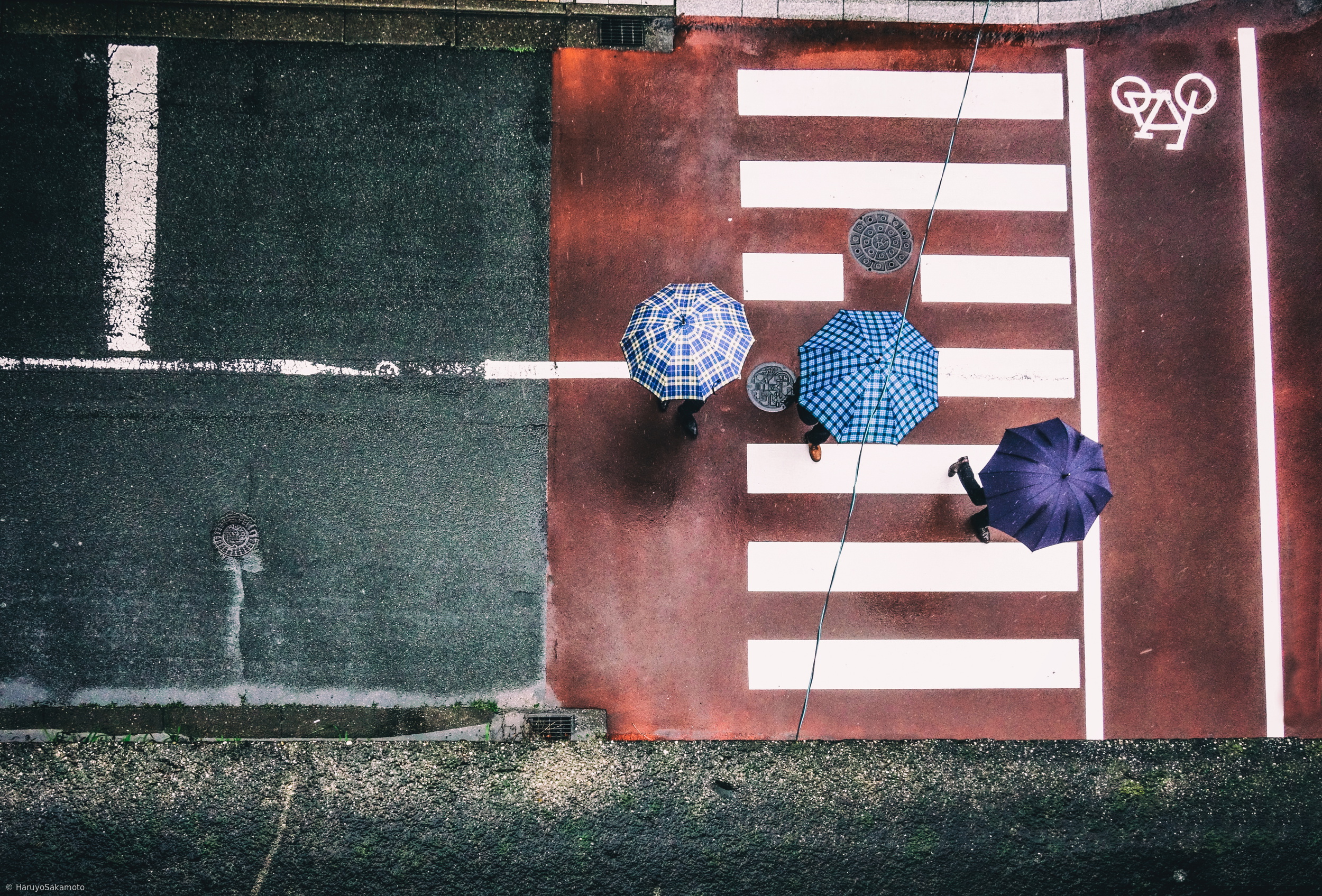 Three umbrellas by Haruyo Sakamoto