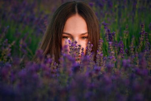 Lavander field by Alina37