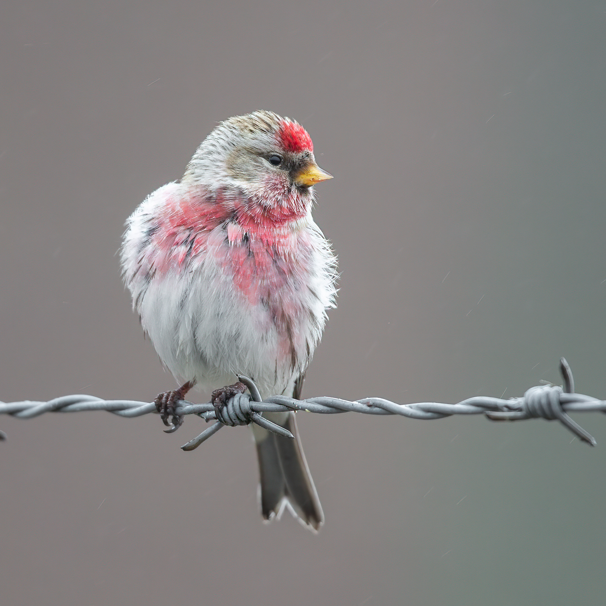 Waiting. by Annie Keizer