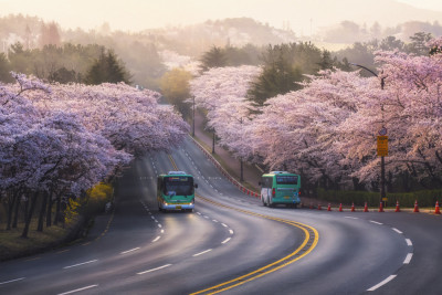 Flower load by Tiger Seo