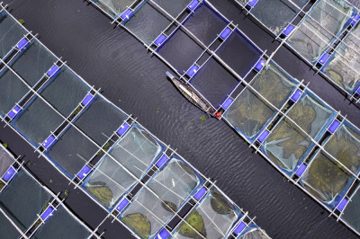 Floating Fish Hatchery by Anisur Rahman