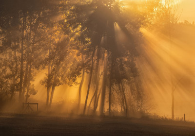 Morning light by Allan Wallberg