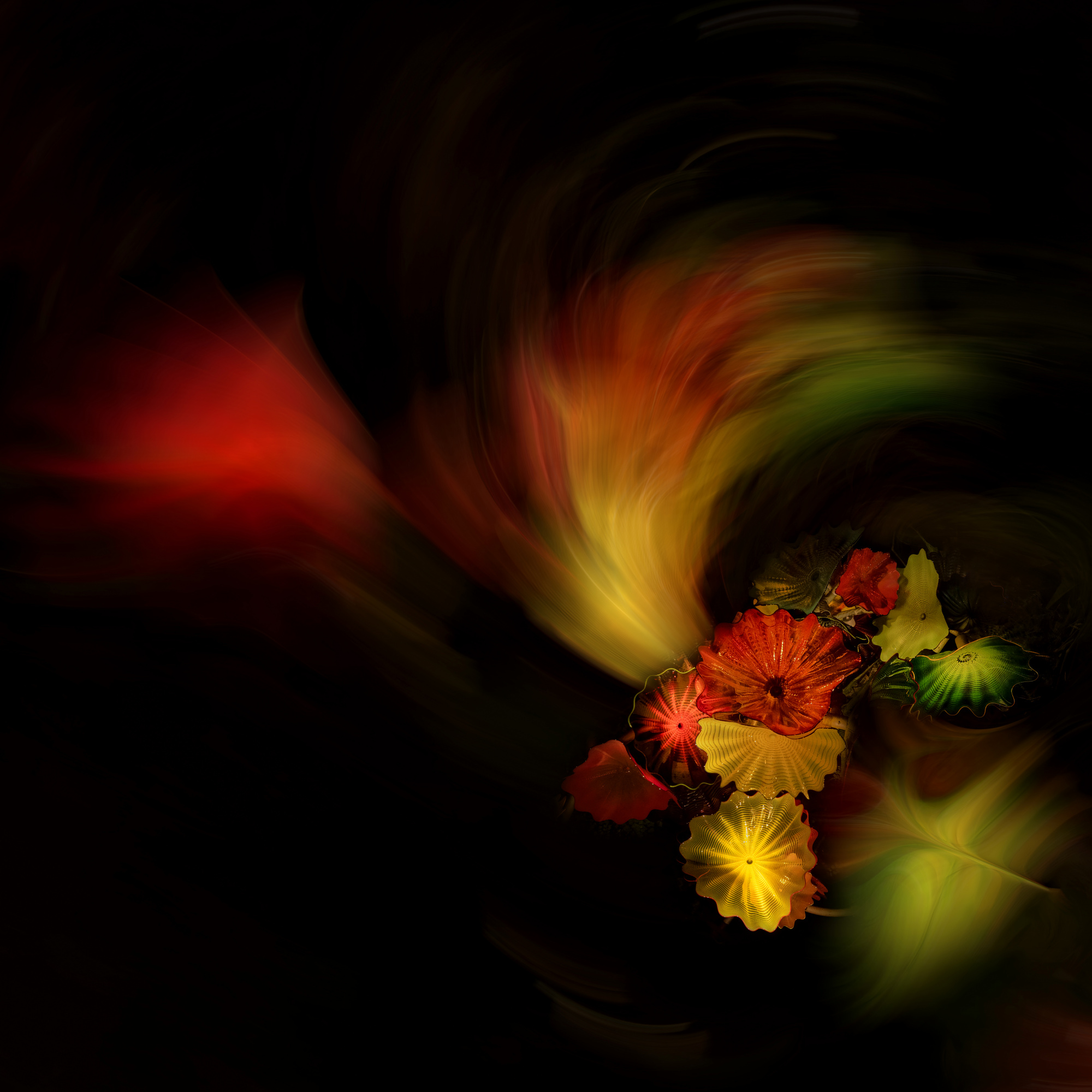 Blooming in the Dark by Yi Pan
