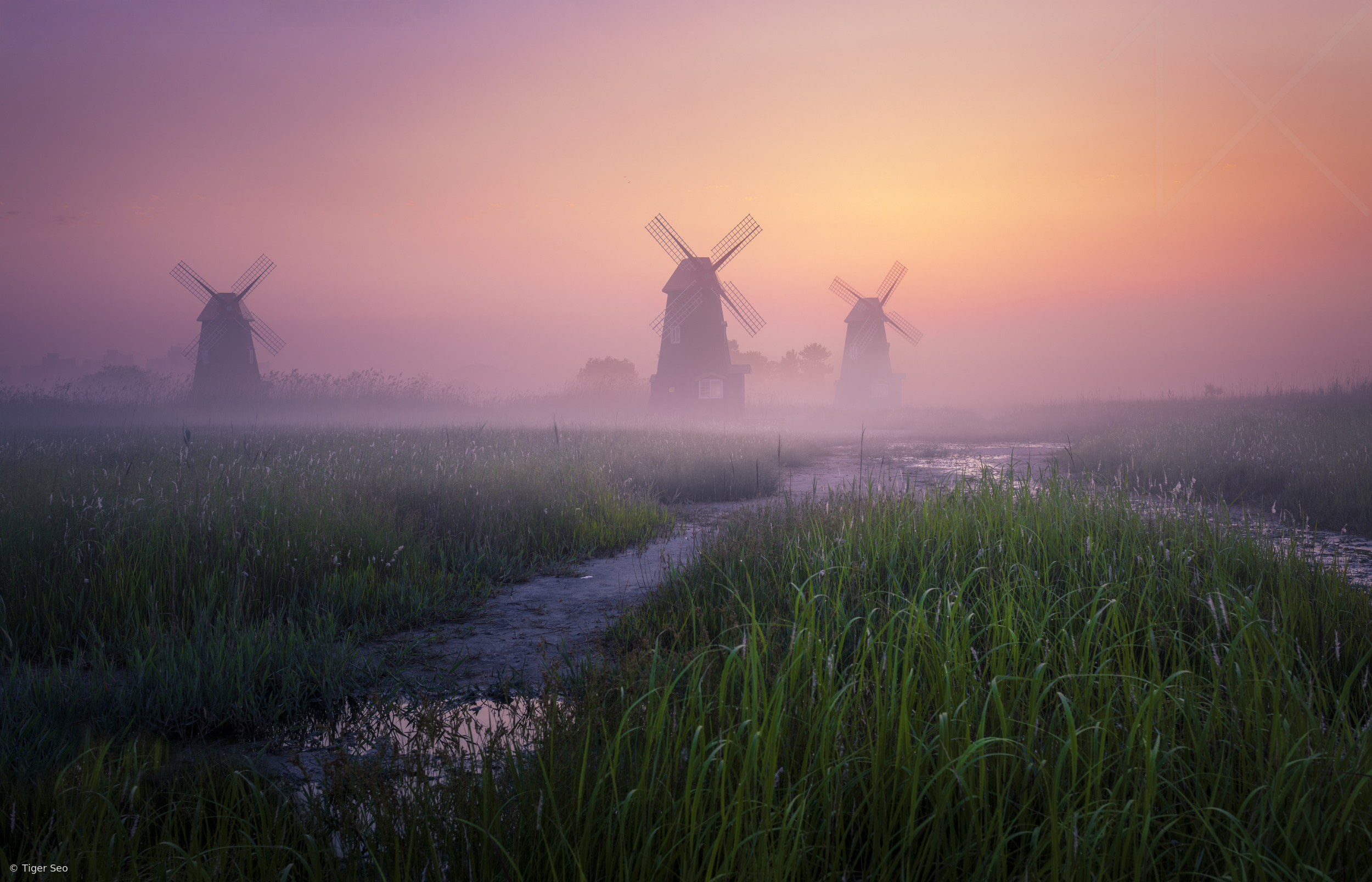 Morning of the park by Tiger Seo