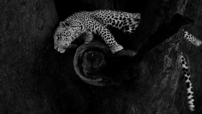 Very comfortable by Phillip Chang