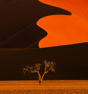 Dune Shadows by Nancy Mu