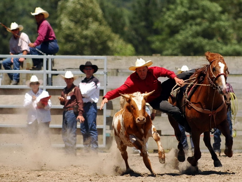 Rodeo diver by Richard McDade