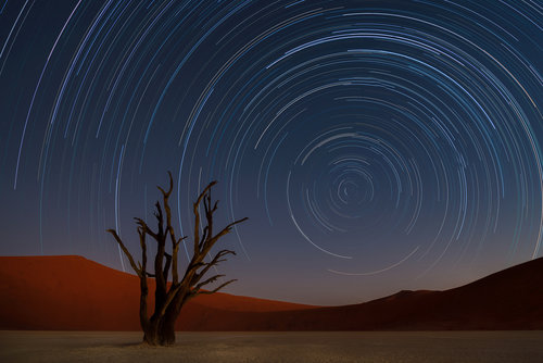 Star Trails of Namibia by Photography by Karen McDonald