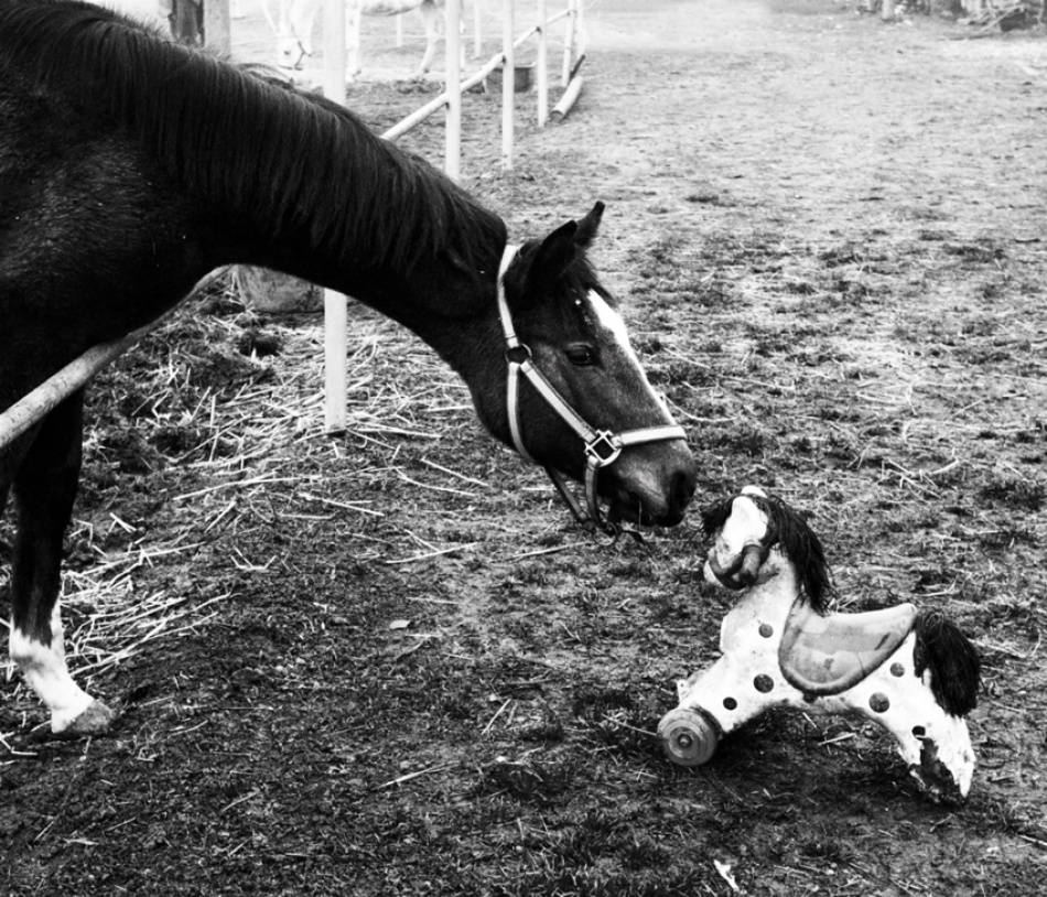 Horse and a toy-horse by Vladimir Funtak