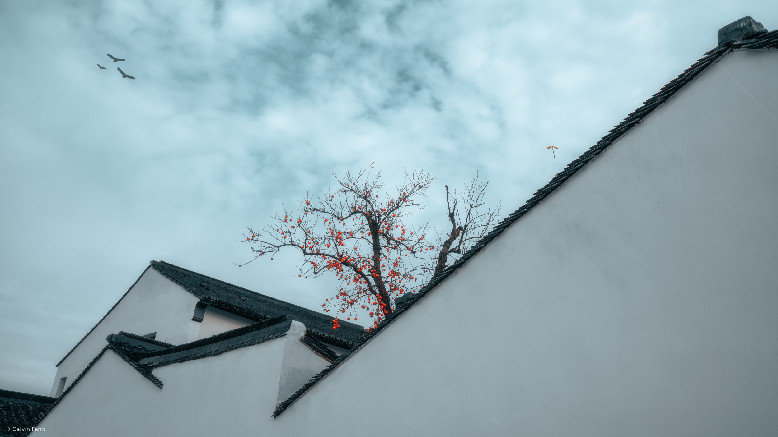 Chinese painting - Jiangnan Suzhou by Calvin Feng