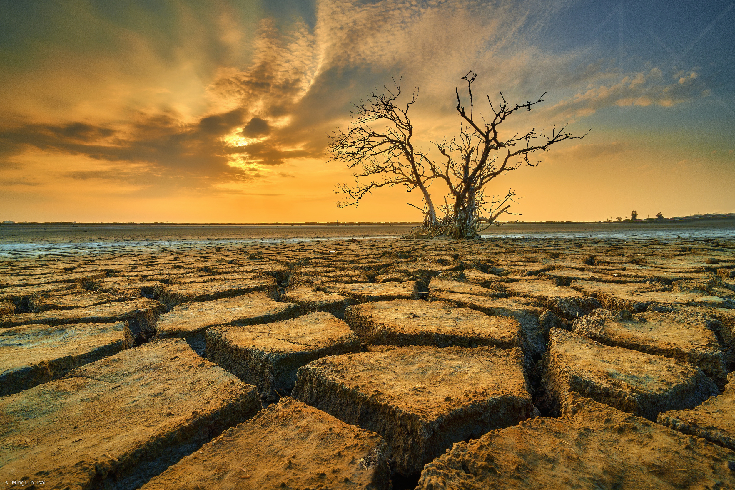 Dry land by MingLun Tsai