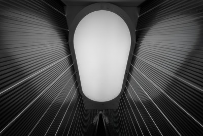 Look up by Calvin Feng