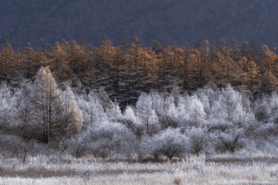 Autumn Leaves and Foggy Ice by Ryohei Irie