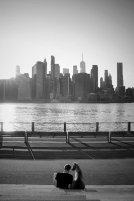 A man’s best friend by Mania De Praeter