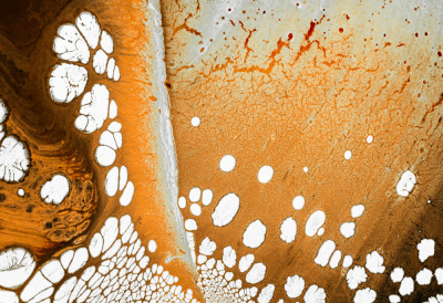 I Color (Brown Iron Oxide) Dispersing in Croom Acrylic House Paint by ...