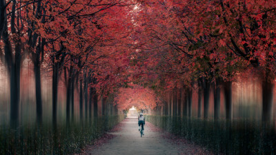 Riding in the fall by Calvin Feng