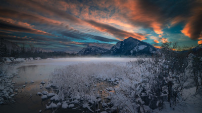 A warm morning in a cold winter day by Bing Li