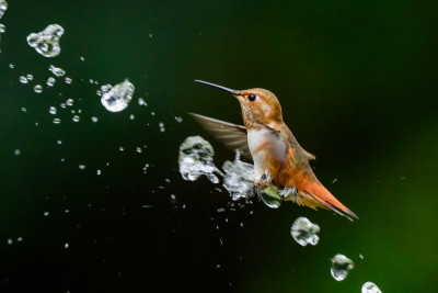 Playing with water by Moses Wang