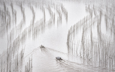 Early morning catch by Pang Teng Lin