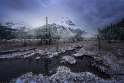 Untitled by David Martin Castan