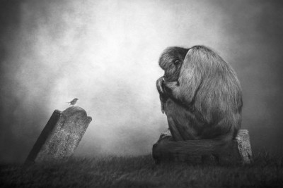 Grieving Monkey by Lorraine Morris
