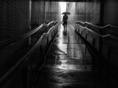 Wet way by Rui Palha