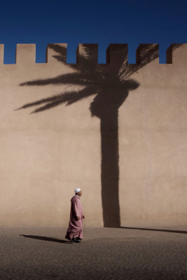 The light of shadow by Mania De Praeter