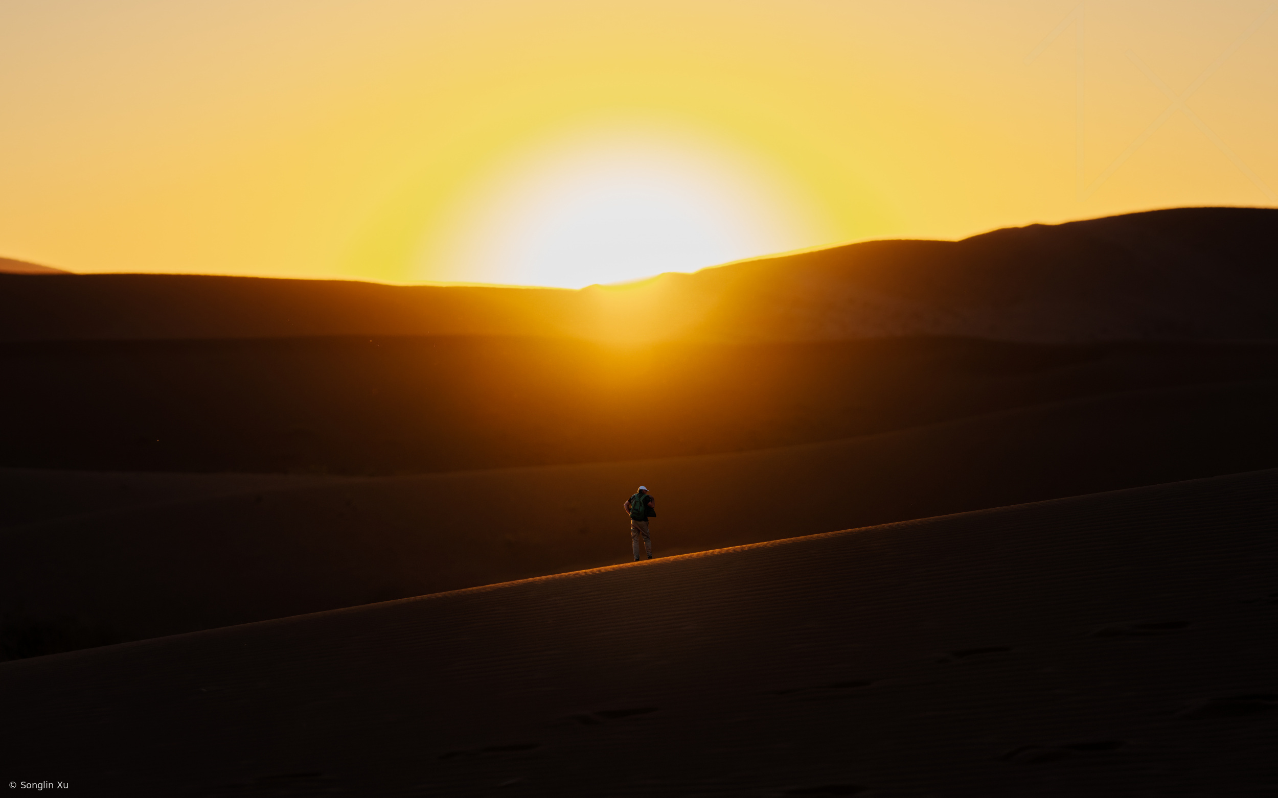 Desert explorer at Namib by Songlin Xu