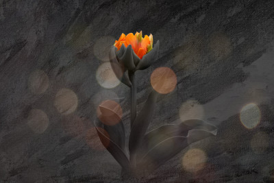 Beacon by Richard Urbanski