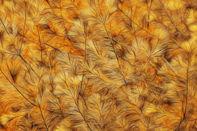 Autumn Abstract by Lucie Gagnon