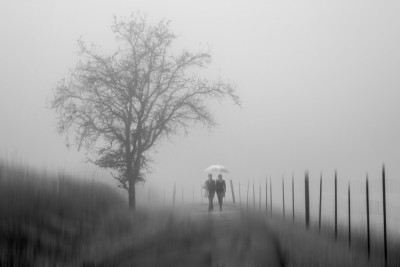 Walking Through the Mist by Shin Woo Ryu