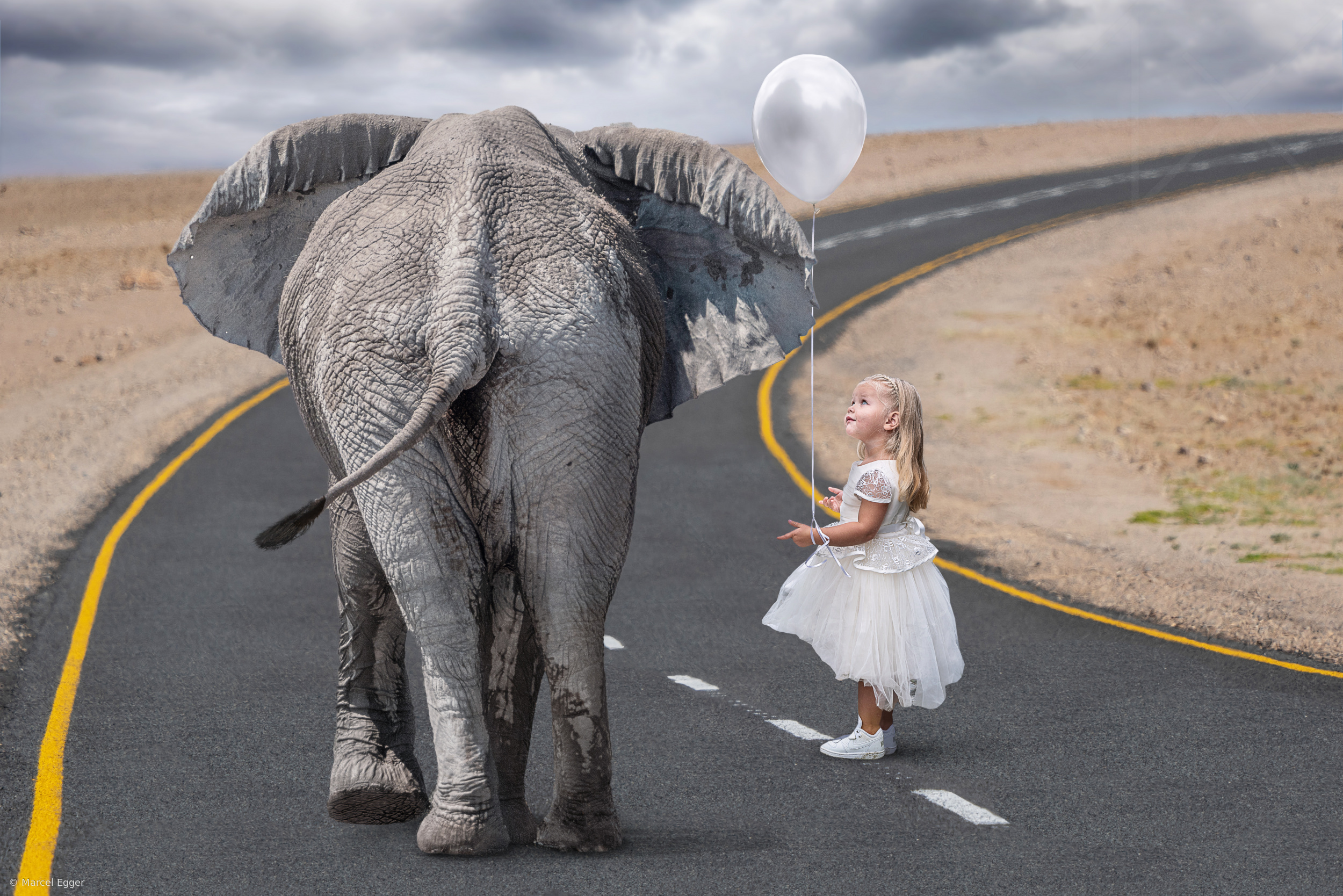 HelloMrElephant by Marcel Egger