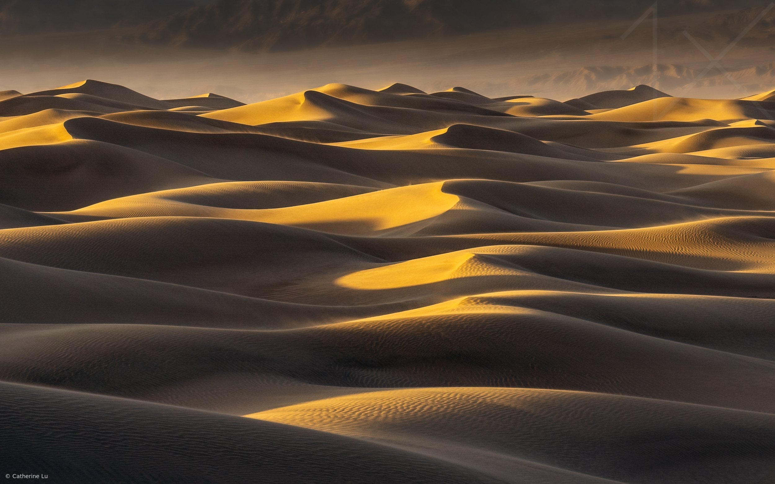 Sand Waves by Catherine Lu