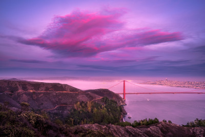 Lilac Sunset by Sophia Li