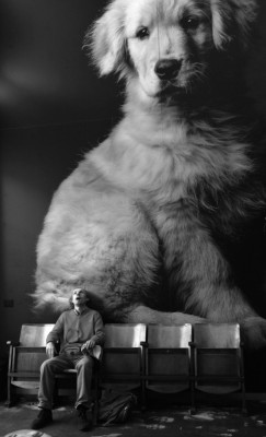 the man and the dog. by stefano longhi