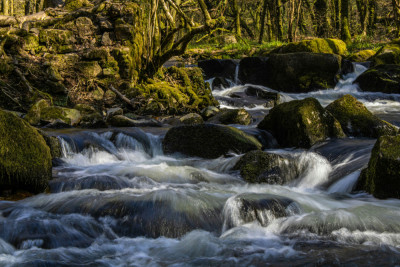 Golitha Falls, Cornwall, UK by Jolyon Vincent
