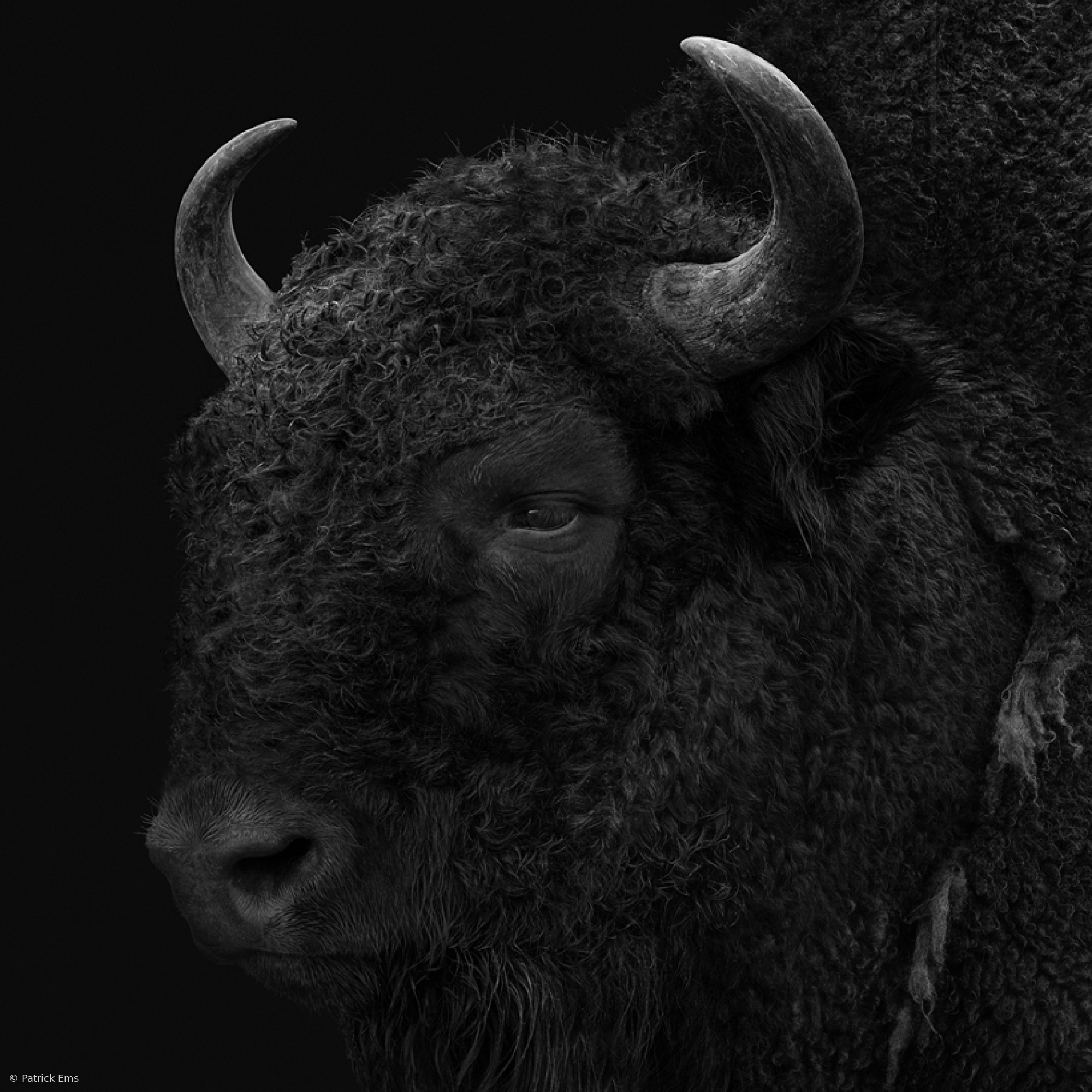 SERENITY 5 by Patrick Ems