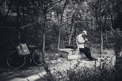 独奏者 by Don Guerin