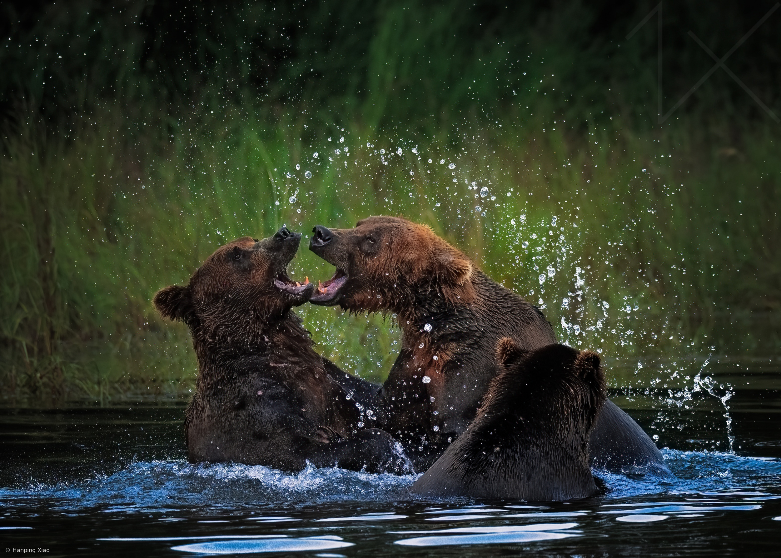 Brothers in Battle by Hanping Xiao