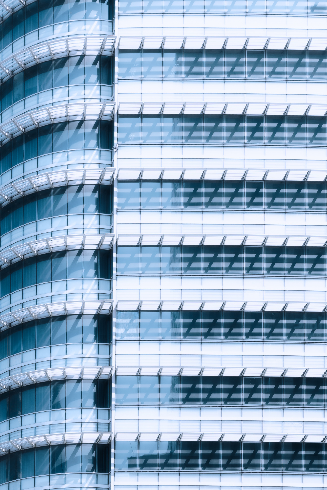 Curves and Straights by KIM JINSOO