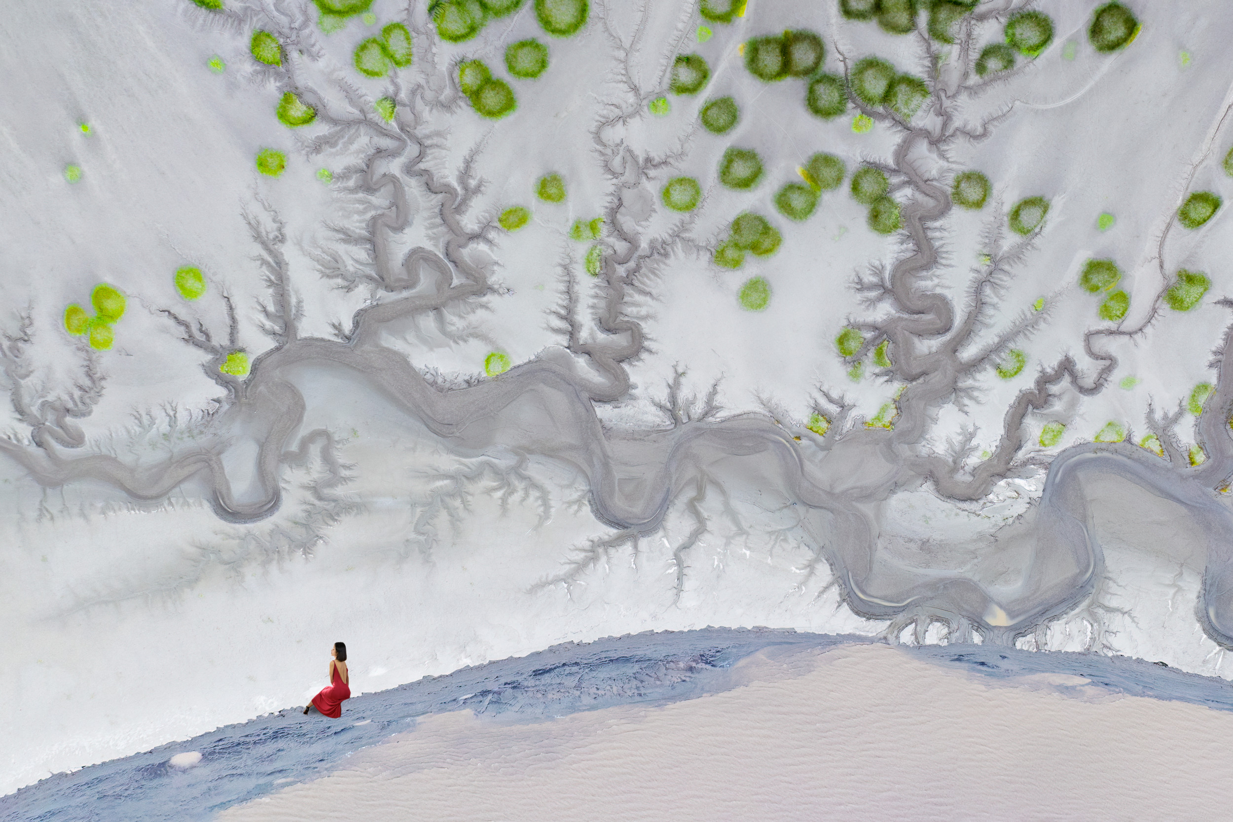 Girl under a tree by Songlin Xu