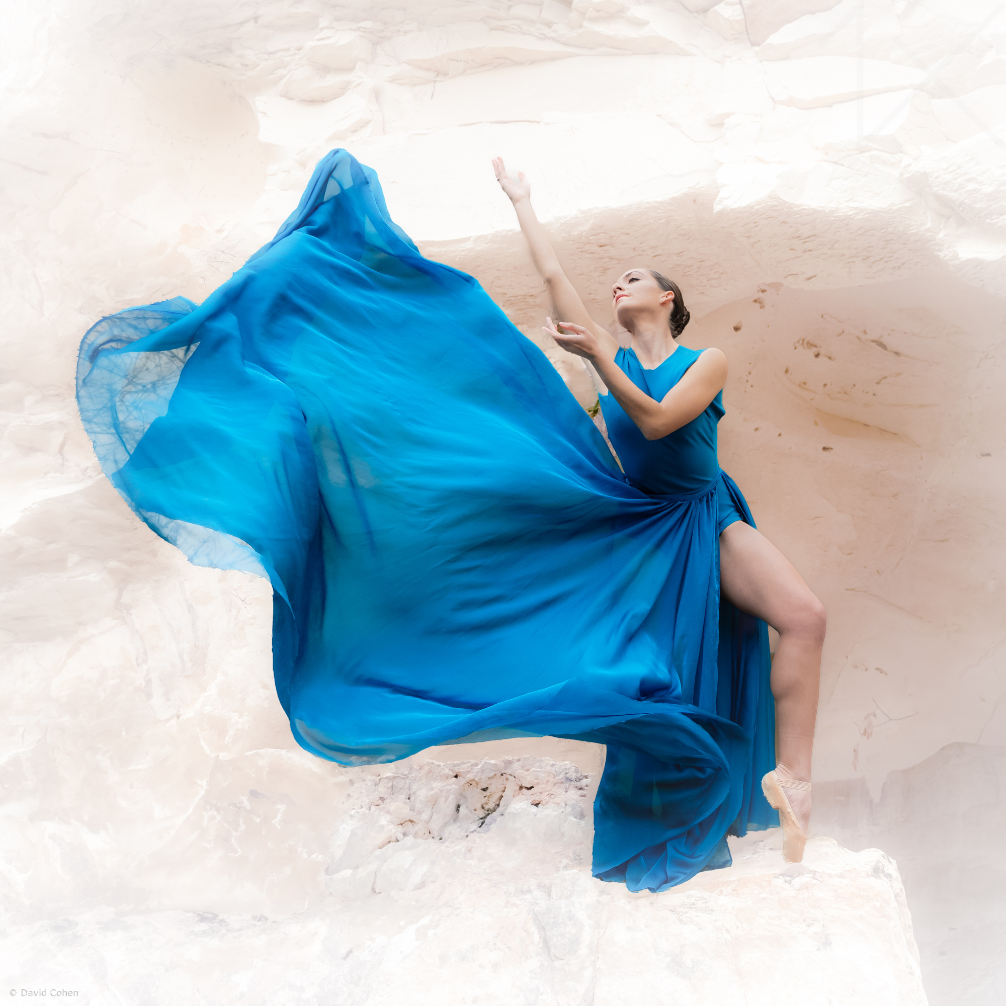 Ballet dancer by David Cohen