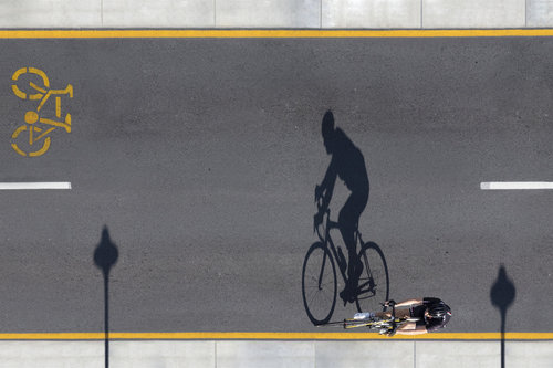 Who's First over the Line by Renee Doyle